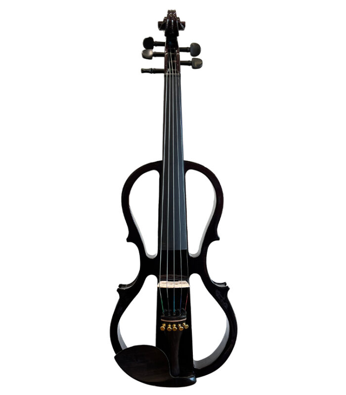 EV 504 5 String Electric Violin – BIGVIOLINSHOP